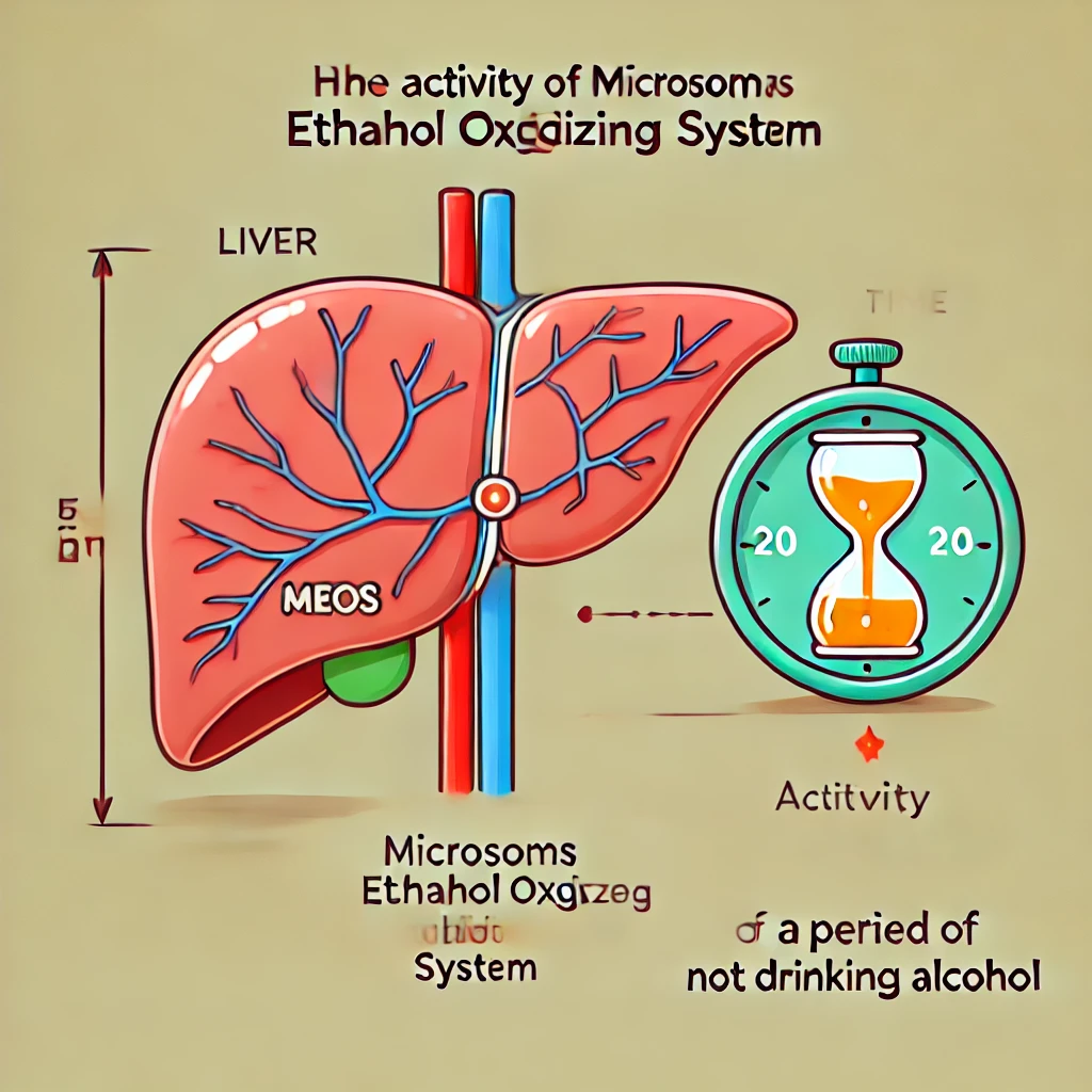 お酒は鍛えれば強くなる？鍵を握るMEOSとは？ - OSACARE NOTE（オサケアノート）